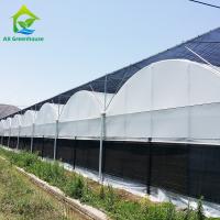 China Hot Galvanized Steel Pipe Nursery Multi-span Panda Film Blackout System Mushroom Tropical Greenhouse for sale