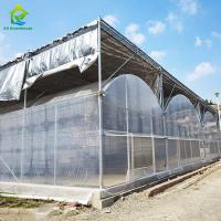 China Multi-span Agricultural Plastic Film Vegetable Fruit Tunnel Greenhouse for sale