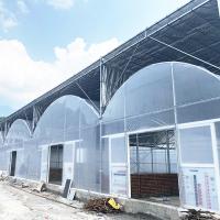 China Customized Agricultural Plastic Film Multi-span Polyhouse Greenhouse for sale
