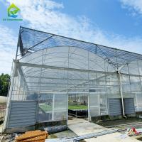 China Multi-span Agricultural Plastic Film Vegetable Fruit Tunnel Greenhouse for sale