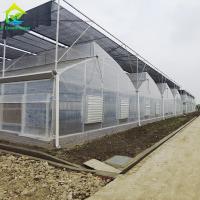 China Customized Agricultural Plastic Film Multi-span Polyhouse Greenhouse for sale