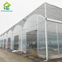 China Customized Agricultural Plastic Film Multi-span Polyhouse Greenhouse for sale