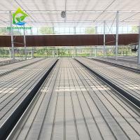 China Customized Flower Growing Indoor Seedbed Nursery Grow Table Rolling Bench For Sale for sale