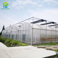 China Plastic Film Agricultural High Quality Galvanized Pipe Multi-span Greenhouse for sale