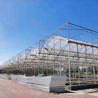 China Plastic Film Agricultural High Quality Galvanized Pipe Multi-span Greenhouse for sale