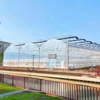 China Plastic Film Agricultural High Quality Galvanized Pipe Multi-span Greenhouse for sale