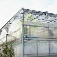 China Plastic Poly Tunnel Agricultural Multi-span Blueberry Customized Greenhouse for sale