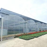 China 30*10m Poly Tunnel Galvanized Frame Multi-span Agricultural Greenhouse For Tomato for sale