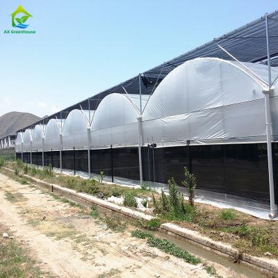 China Customized Size Agricultural Tropical Poly Tunnel Plastic Film Tomato Greenhouse for sale