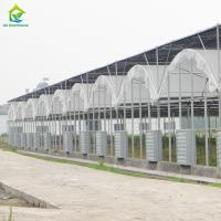 China Durable Custom Size Agricultural Poly Large Tunnel Film Multi-span Greenhouse for sale