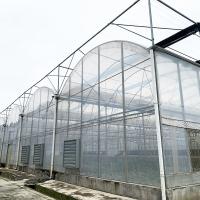 China Durable Custom Size Agricultural Poly Large Tunnel Film Multi-span Greenhouse for sale