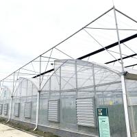 China Steel Tructure Sawtooth Poly Film Low Tunnel Agricultural Multi-span Greenhouse for Sustainable Vegetable Production for sale