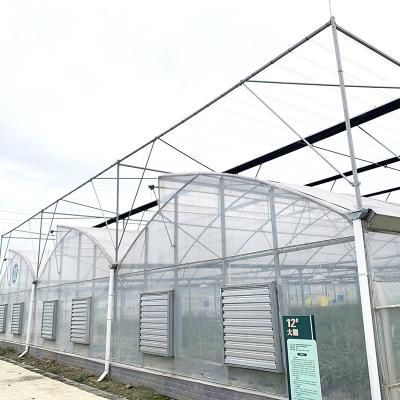 China Sawtooth Plastic Film Multi-span Poly Tunnel Vegetable Hothouse Greenhouse For Hydroponic for sale