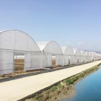 China Agriculture Plastic UV Film Poly Tunnel Multi-span Tomato Smart Greenhouse for sale