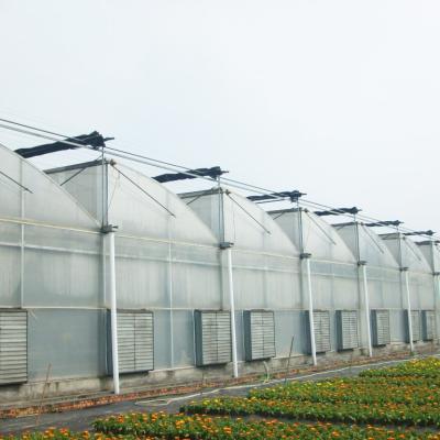 China Tropical Climate Multi-span Wind Resistant Poly Tunnel Sawtooth Greenhouse for sale