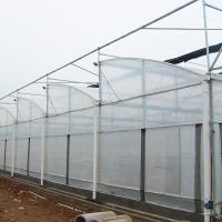 China Tropical Climate Multi-span Wind Resistant Poly Tunnel Sawtooth Greenhouse for sale