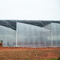 China Tropical Climate Multi-span Wind Resistant Poly Tunnel Sawtooth Greenhouse for sale