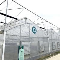 China Tropical Climate Multi-span Wind Resistant Poly Tunnel Sawtooth Greenhouse for sale