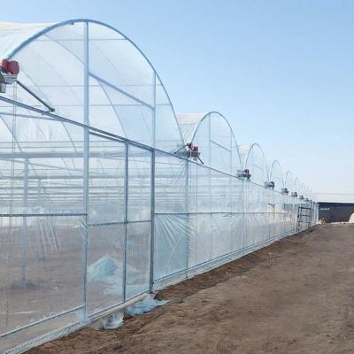China Durable Custom Size Agricultural Poly Large Tunnel Film Multi-span Greenhouse for sale