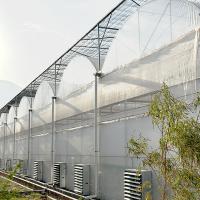 China Commercial Plastic Poly Tunnel Multi-span Galvanized Frame Berry Greenhouse for sale