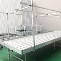 China Custom Size Greenhouse Grow Table Hydroponic Ebb Flood Rolling Bench VerticSeedbed for sale
