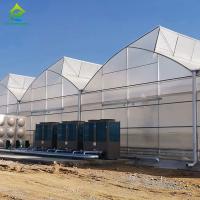 China Multi-Span Poly Tunnel Greenhouse with Sawtooth Roof for Natural Ventilation and Light Diffusion for sale