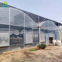 China Stable Structure Wind Resistant Multi-span Large Tunnel Poly Film Hydroponic Greenhouse for Irrigation for sale