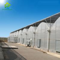 China Stable Structure Wind Resistant Multi-span Large Tunnel Poly Film Hydroponic Greenhouse for Irrigation for sale