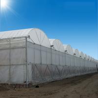 China Stable Structure Wind Resistant Multi-span Large Tunnel Poly Film Hydroponic Greenhouse for Irrigation for sale