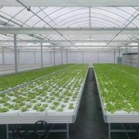 China Adjustable Greenhouse Rolling Benches for Vertical Seedbed Ebb and Flow Systems for sale