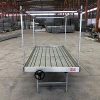 China Custom Size Greenhouse Grow Table Hydroponic Ebb Flood Rolling Bench VerticSeedbed for sale