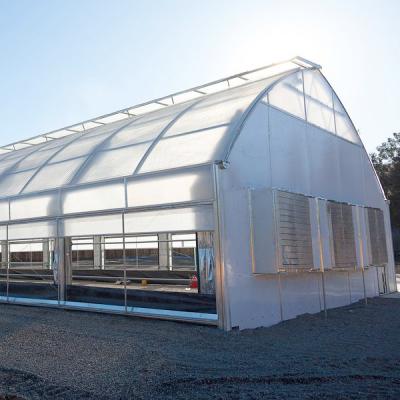 China Stable Structure Easily Assembled Agricultural Single Span Fully Automated Blackout Mushroom Growing Greenhouse for sale