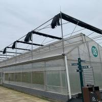 China Multi-Span Poly Tunnel Greenhouse with Sawtooth Roof for Natural Ventilation and Light Diffusion for sale