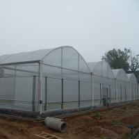 China Stable Structure Wind Resistant Multi-span Large Tunnel Poly Film Hydroponic Greenhouse for Irrigation for sale