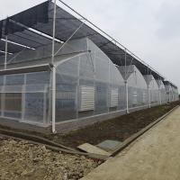 China Multi-Span Poly Tunnel Greenhouse with Sawtooth Roof for Natural Ventilation and Light Diffusion for sale