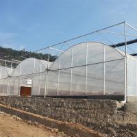 China Commercial Polytunnel Multi-Span Greenhouse Modular Design Large-Scale Cultivation Galvanized Steel UV Film for sale