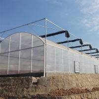 China Durable Poly Tunnel Agricultural Multi-span Plastic Film Greenhouse For Vegetables for sale