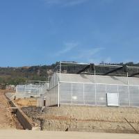 China Durable Poly Tunnel Agricultural Multi-span Plastic Film Greenhouse For Vegetables for sale
