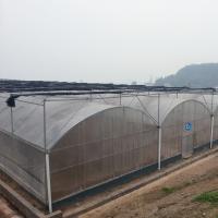 China Reliable Poly Tunnel Greenhouse Anti Rust Steel Frame Long Lasting Film for Tomato for sale