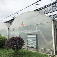 China Stable Structure Industrial Plastic PE Film Multi-span Agricultural Flower House Poly Tunnel Greenhouse for sale