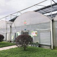 China Modular Poly Tunnel Greenhouse Customizable Layouts for Vegetables Flowers Nurseries for sale
