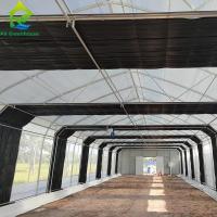 China Black White Film Single Span Small Tunnel Custom Light Deprivation Greenhouse for sale