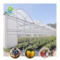 China Modular Poly Tunnel Greenhouse Customizable Layouts for Vegetables Flowers Nurseries for sale