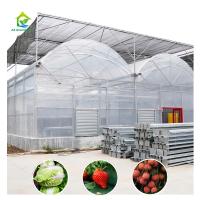China Horticultural Plastic Film UV Resistant Large Poly Tunnel Multi-span Greenhouse for Vegetable for sale