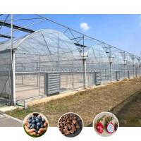 China Durable Multi-Span Polytunnel Greenhouse Heavy-Duty Steel Wind Snow Resistance Commercial Farms Nurseries for sale