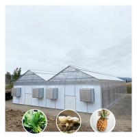 China Automatic Agricultural Blackout Polycarbonate Light Deprivation Greenhouse for sale