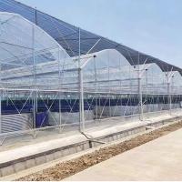 China Low Maintenance Poly Tunnel Multi-Span Greenhouse Durable Steel Components for sale