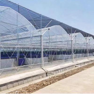 China Low Maintenance Poly Tunnel Multi-Span Greenhouse Durable Steel Components for sale