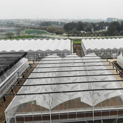 China Tropical Plastic Film Multi-Span Poly Tunnel Greenhouse With Enhanced Cooling Systems for sale
