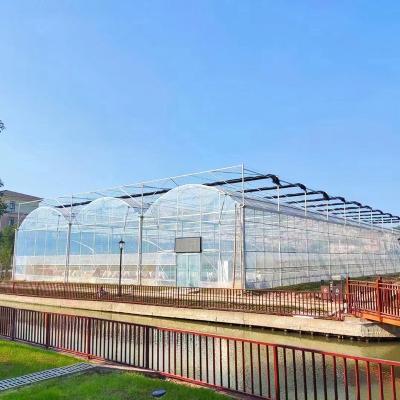 China Modular Poly Tunnel Greenhouse Customizable Layouts for Vegetables Flowers Nurseries for sale